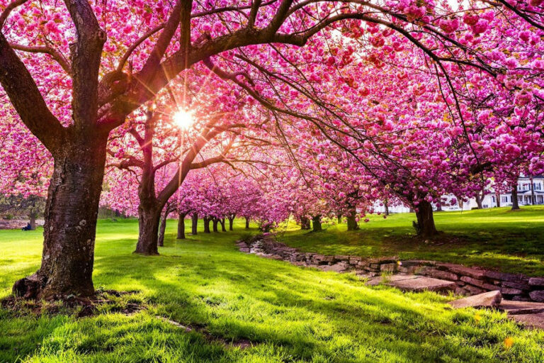 UKRN Newsletter - Spring 2026 | UKRN: the UK Regulators Network